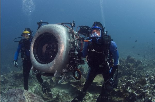 UNDER THE SEA - Behind The Lens Online
