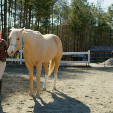 Check out the first trailer and images for UNBRIDLED! - Behind The Lens ...