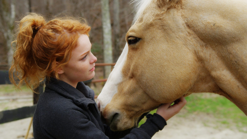 Check out the first trailer and images for UNBRIDLED! - Behind The Lens ...