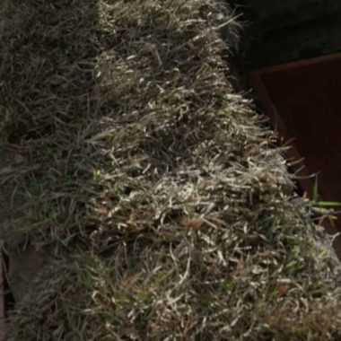 Supernatural chills abound with this first trailer and images for COLD ...