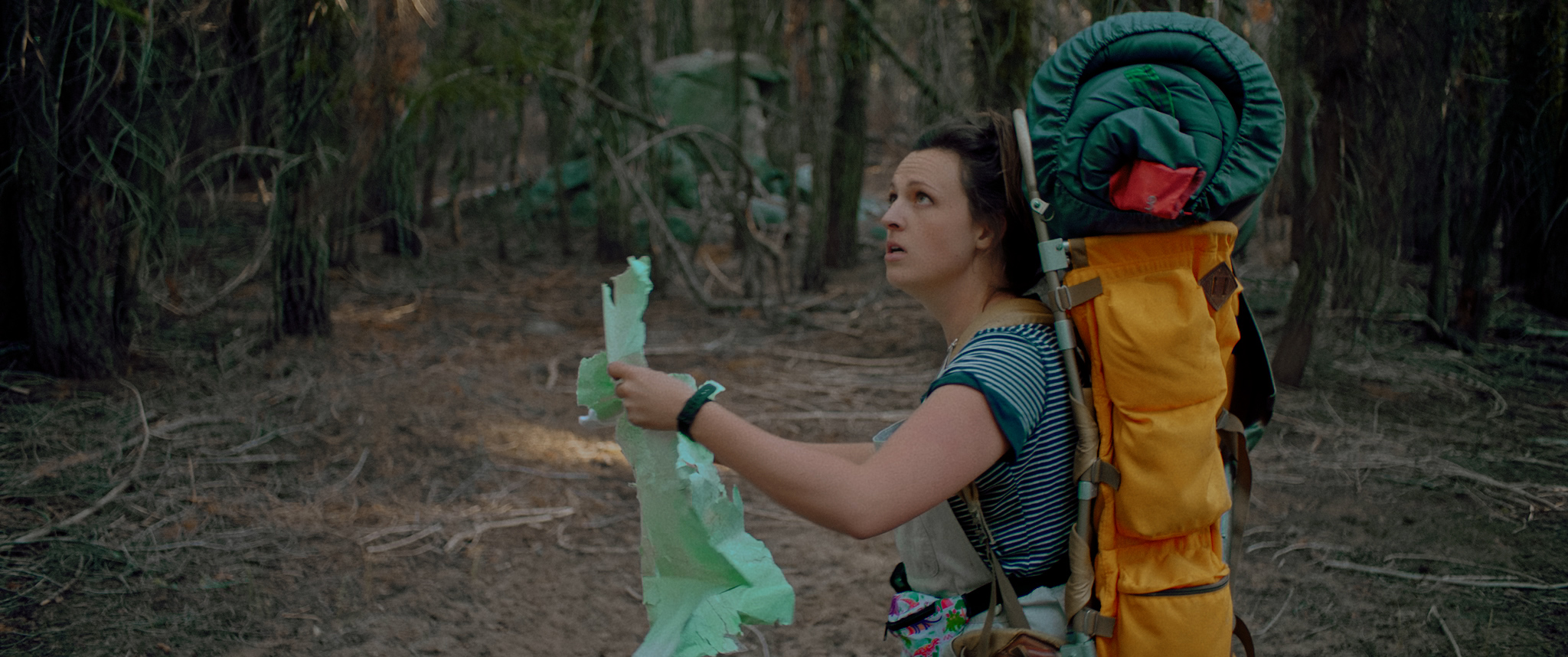 WILD BOYS is a comedic charmer - Behind The Lens Online